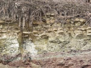 rough ground textures - Texturelib